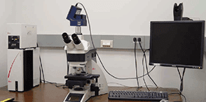 PCIC Microscopes - Boyce Thompson Institute