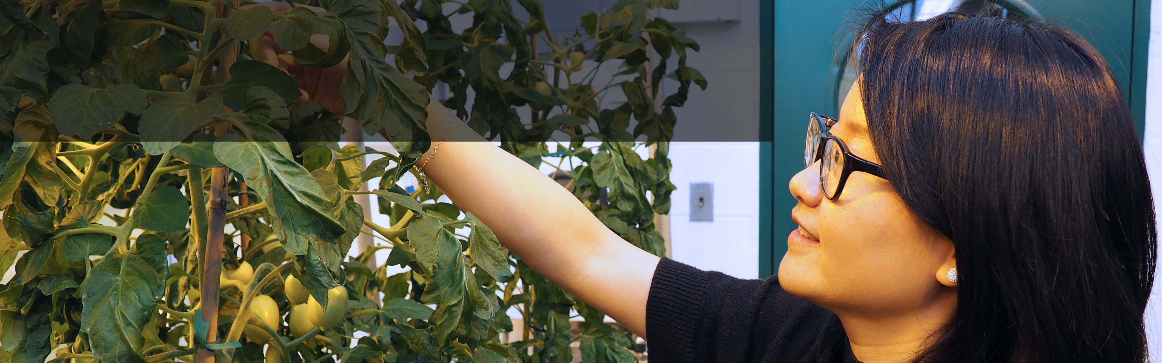 Welcome to Boyce Thompson Institute - Boyce Thompson Institute