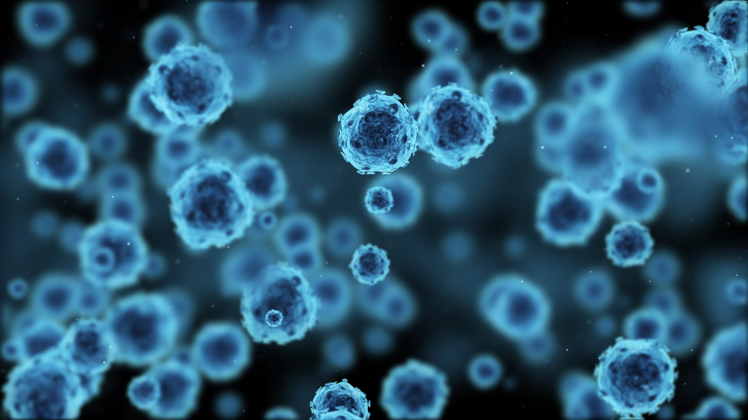 BTI HighFive™ cell lines - Boyce Thompson Institute - Boyce Thompson ...